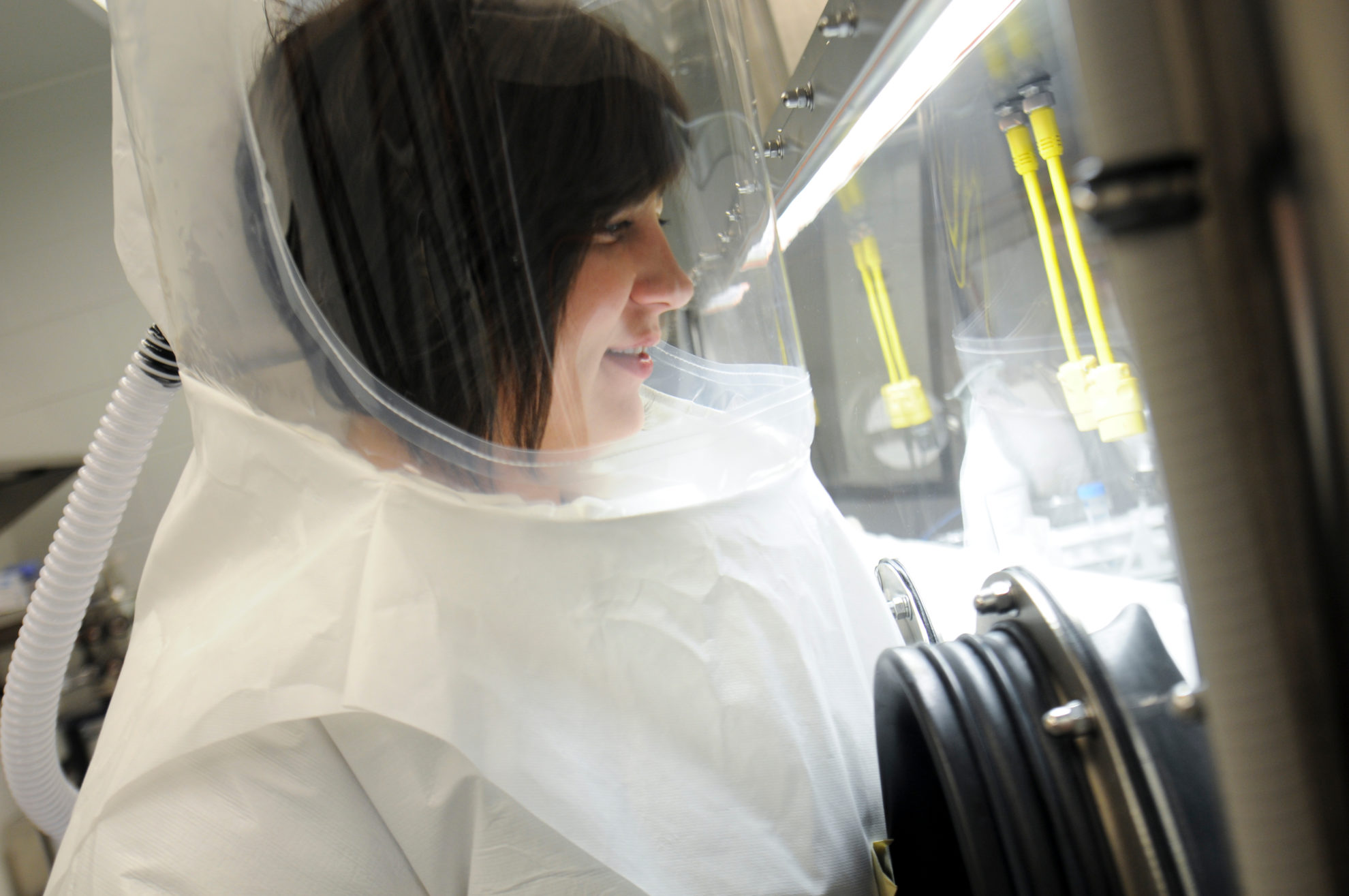 The Institute for Biohealth Innovation