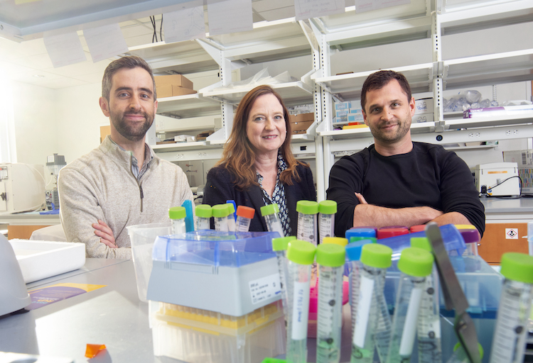 The Institute for Biohealth Innovation