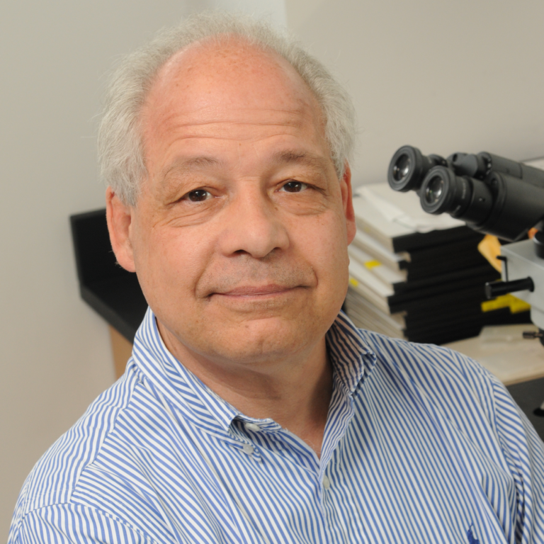 Infectious Diseases – The Institute for Biohealth Innovation