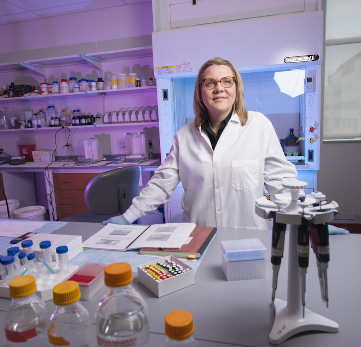 Personalizing breast cancer treatments with multi-omics – The Institute ...