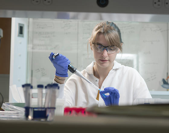 Bioengineers and biologists team up to battle cancer cells – The ...